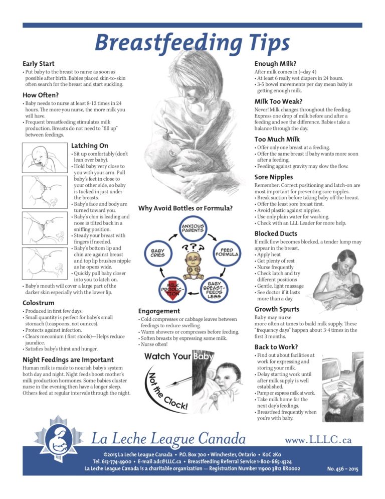 Feeding Your Baby - Family Midwifery Care of Guelph