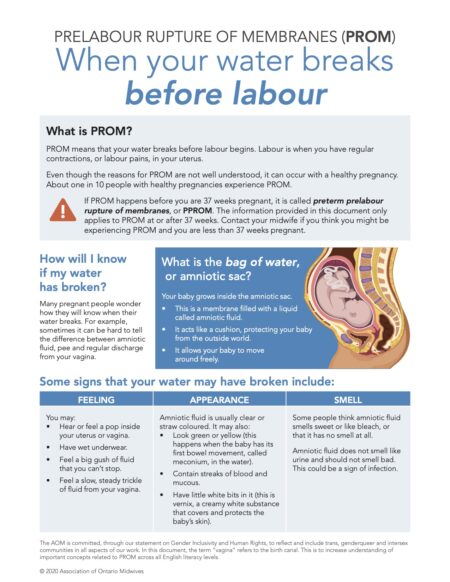 Birth - Family Midwifery Care of Guelph