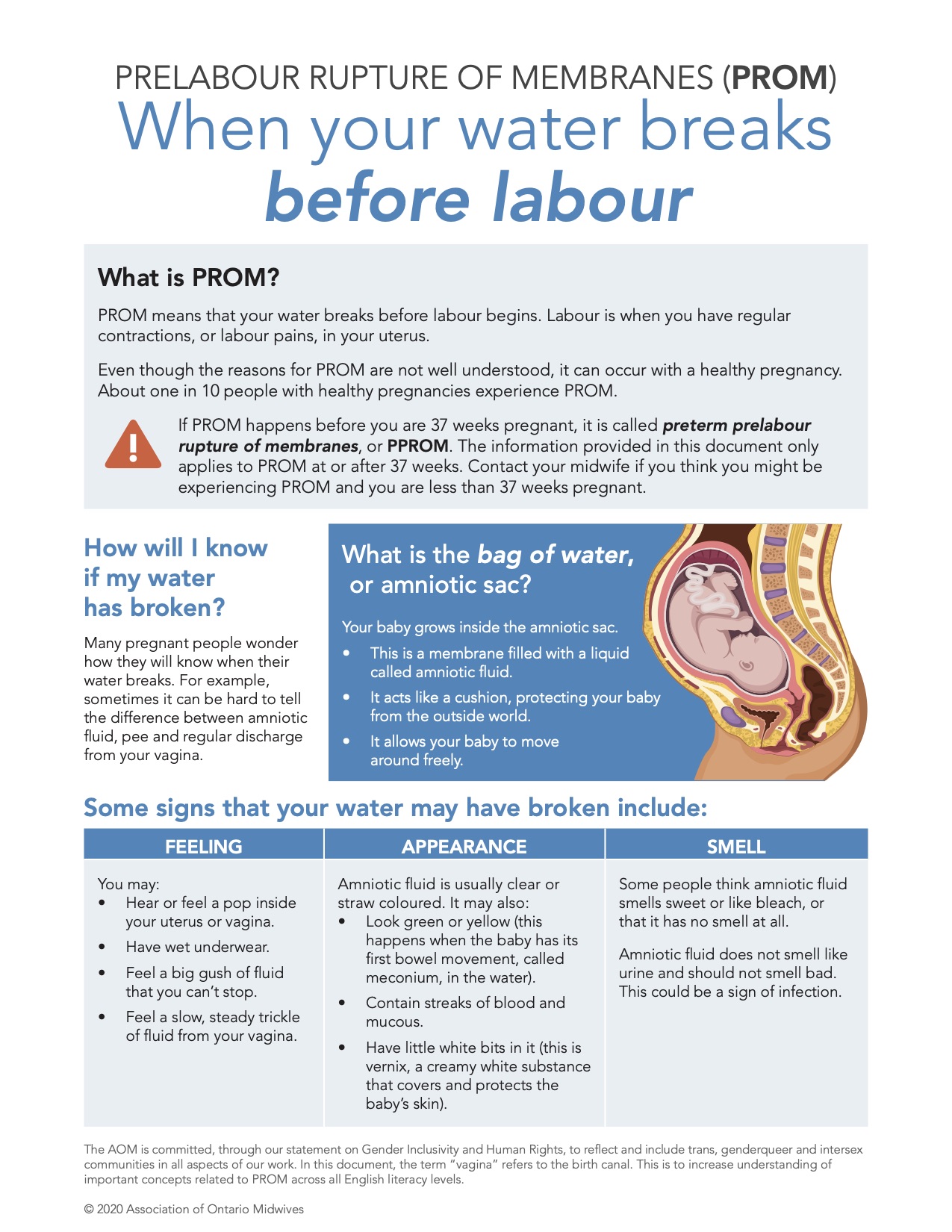 Birth - Family Midwifery Care of Guelph